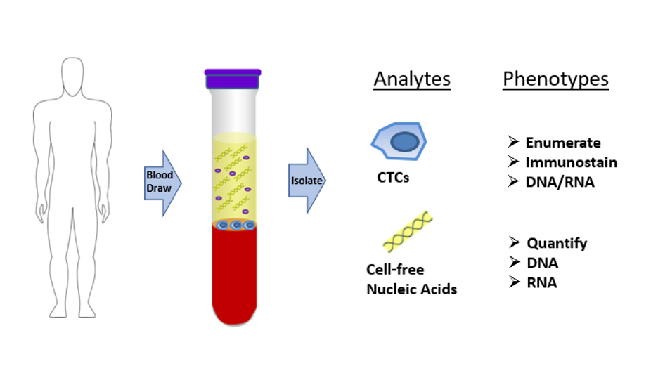 Liquid Biopsy Research Core - USC Norris Comprehensive Cancer Center Liquid Biopsy Research Core - USC Norris Comprehensive Cancer Center